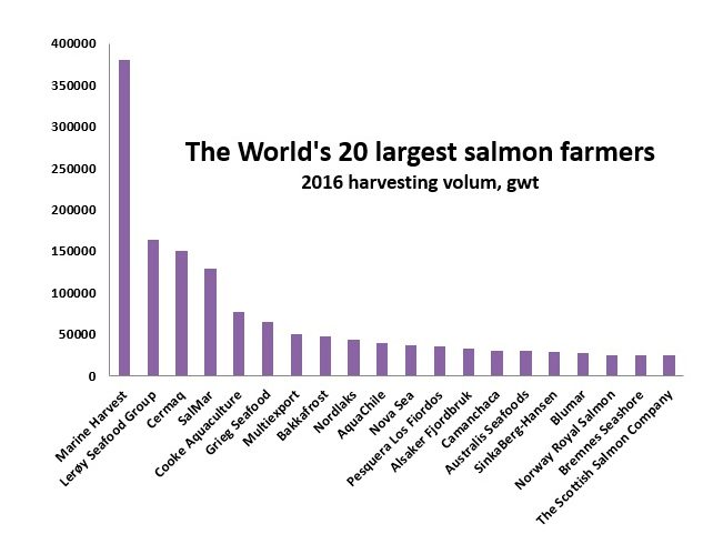 These are the world’s 20 largest salmon producers