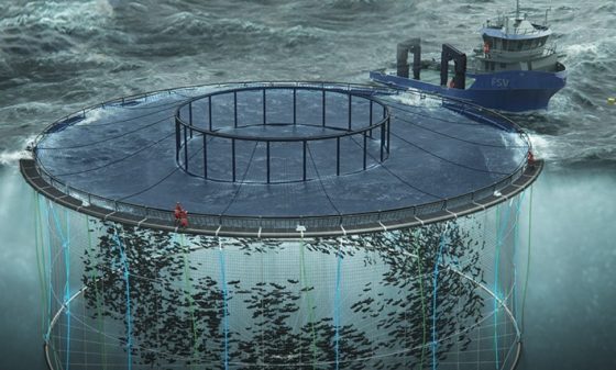 Aqualine Canada project to construct 10 sea cages for Mowi | SalmonBusiness