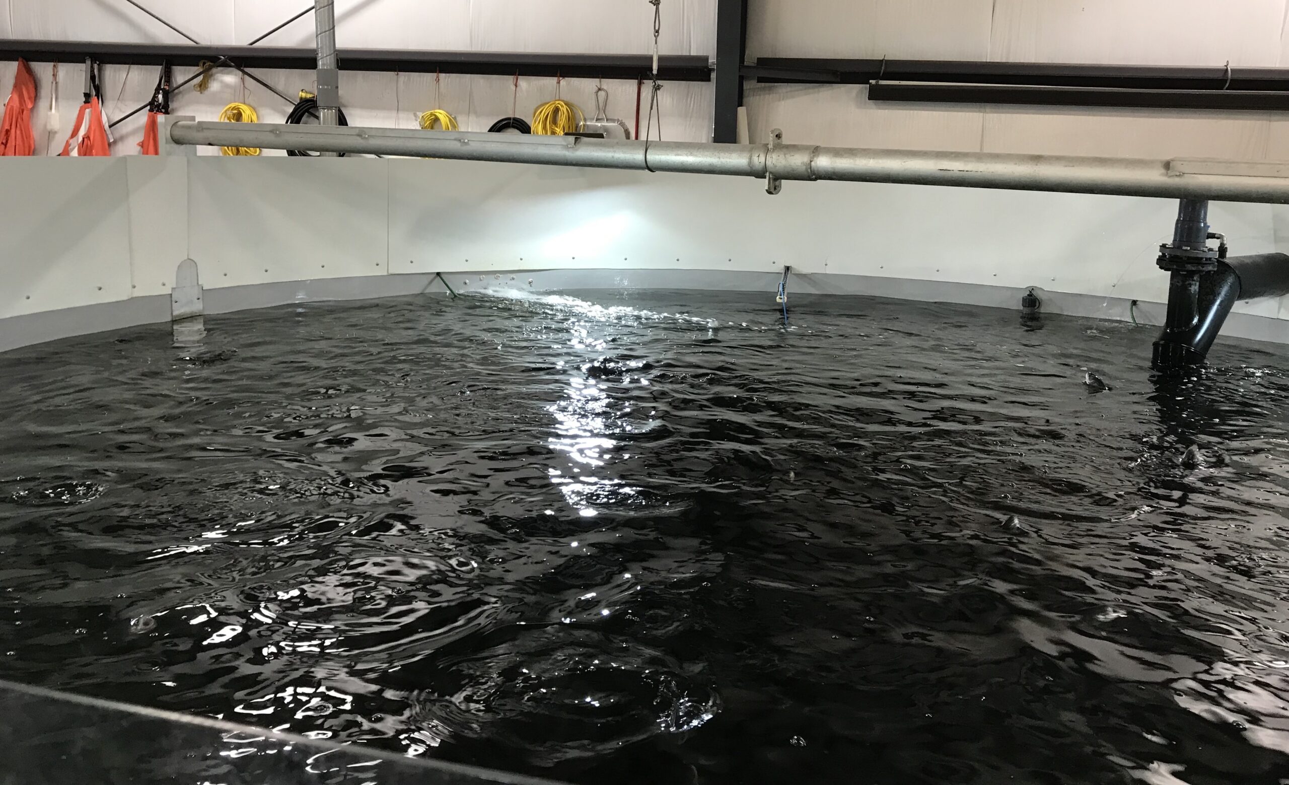 New player applies to build land-based salmon farm in Spain